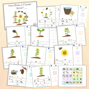 Frog Butterfly Sunflower Life cycles Adapted Books (Lvl 3) | Made By ...