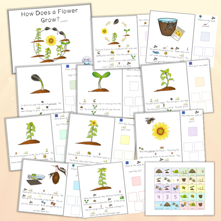 Frog Butterfly Sunflower Life cycles Adapted Books (Lvl 3) | Made By ...