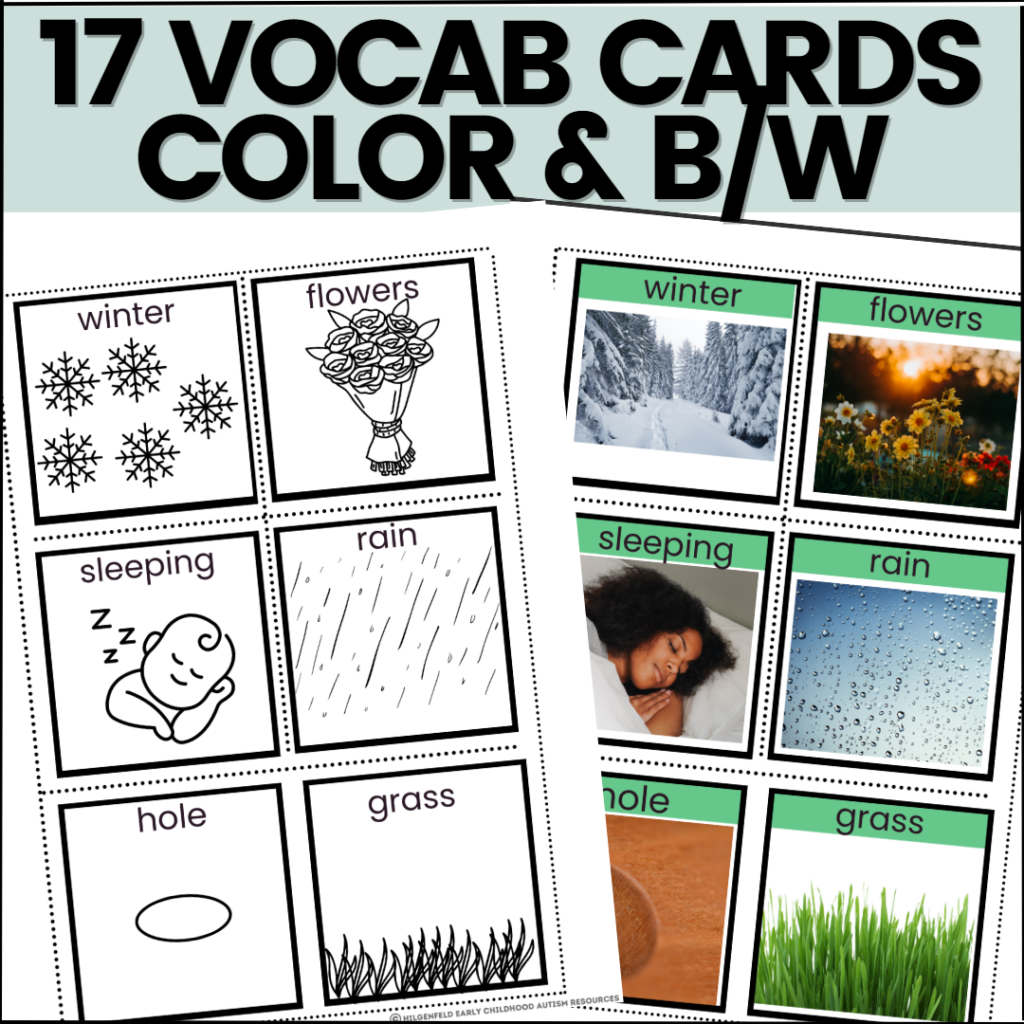 Groundhog Day Vocabulary Cards & Traceable Print Cards | Made By Teachers