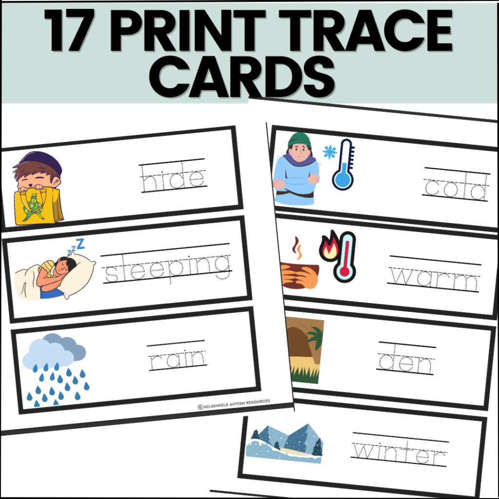Groundhog Day Vocabulary Cards & Traceable Print Cards | Made By Teachers