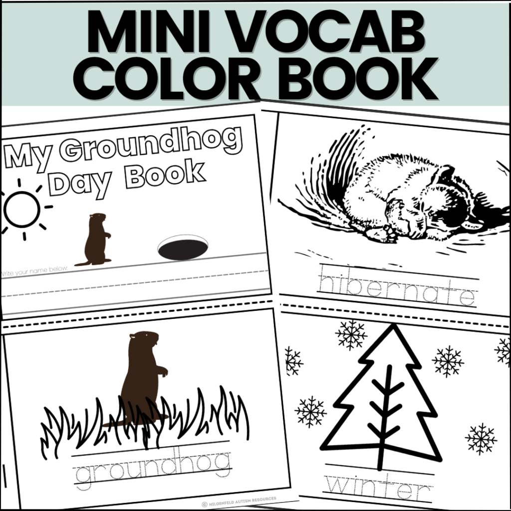 Groundhog Day Vocabulary Cards & Traceable Print Cards | Made By Teachers