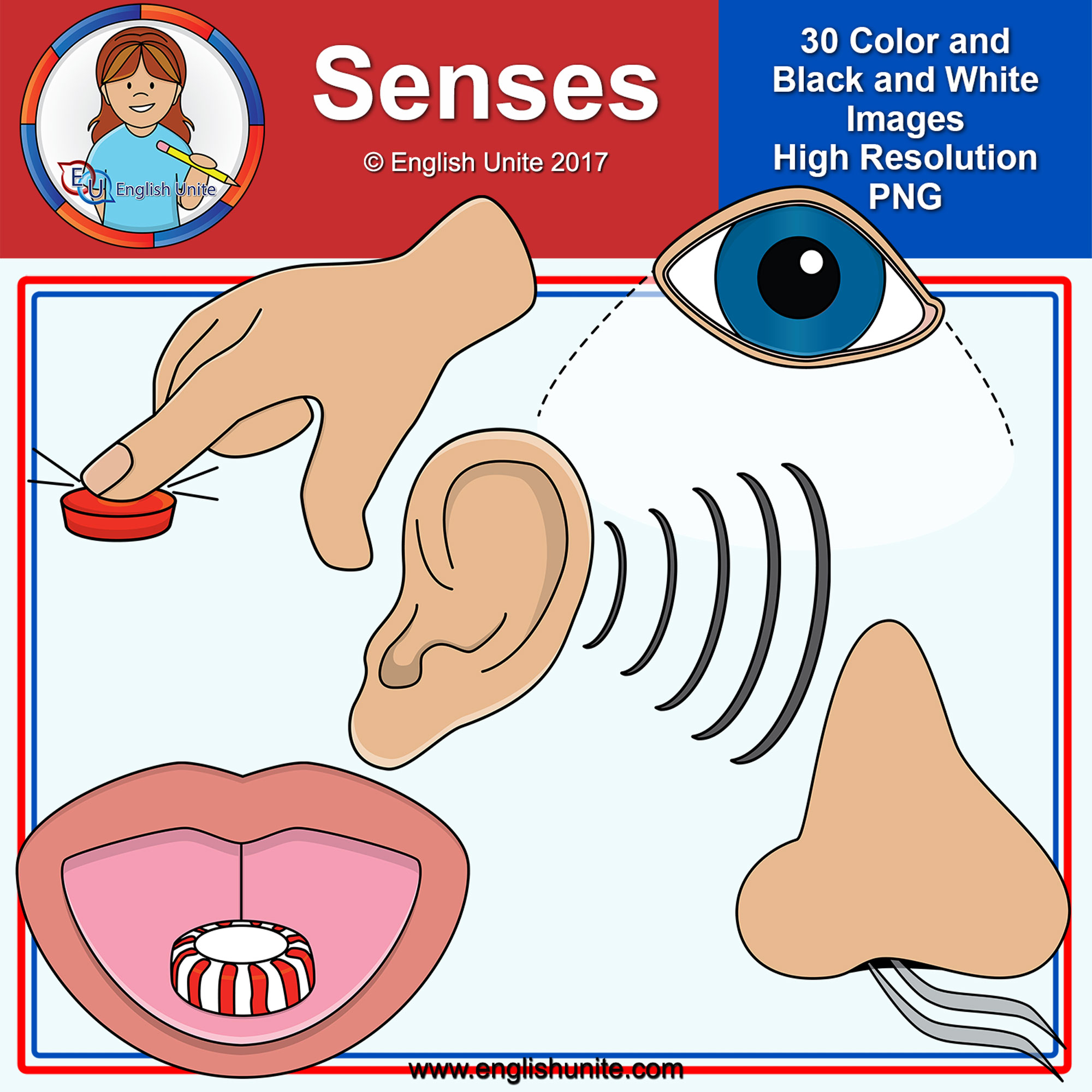 Clip Art - Senses | Made By Teachers