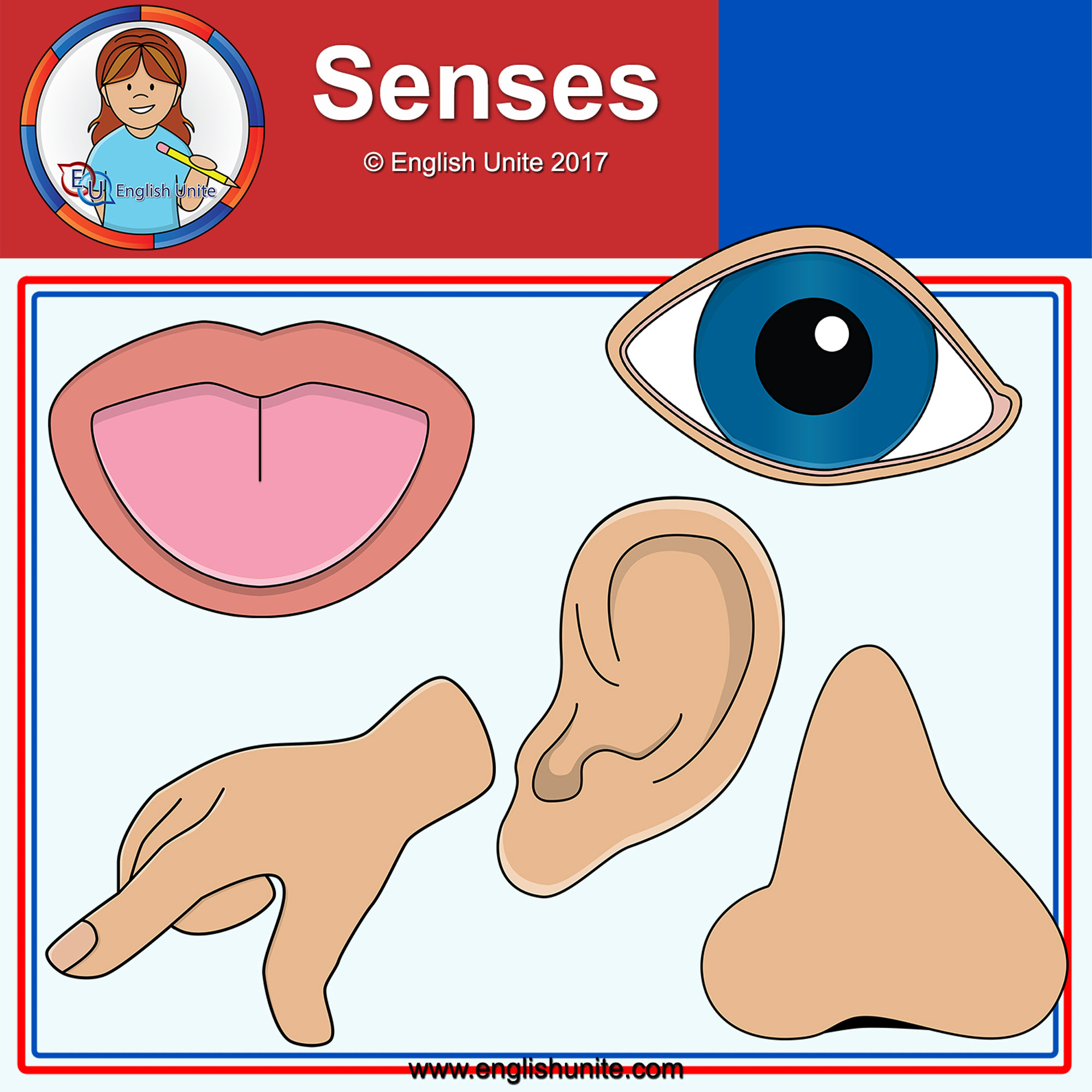 Clip Art - Senses | Made By Teachers