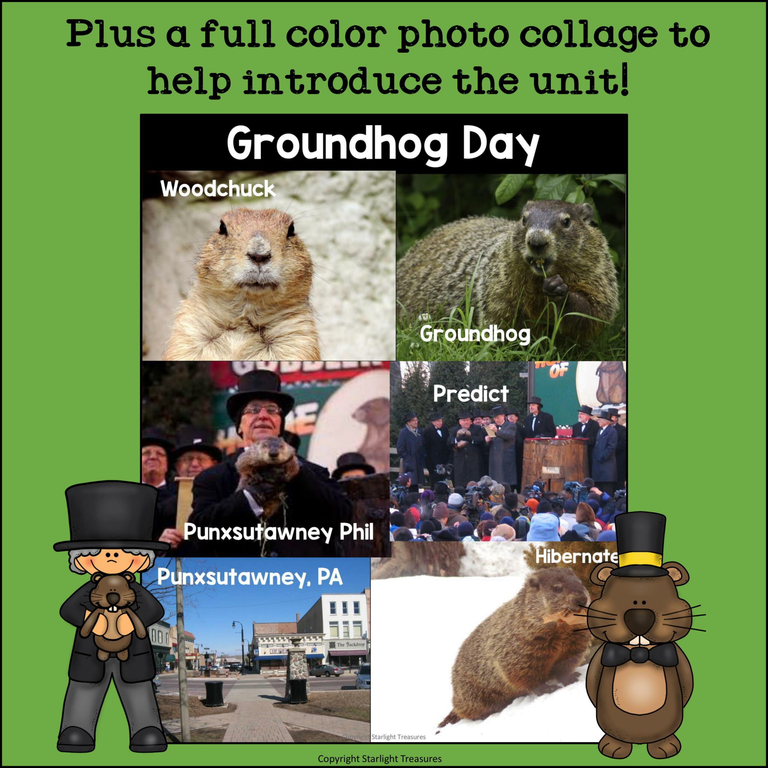 Groundhog Day Mini Book for Early Readers | Made By Teachers
