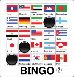 Flags of the World Bingo ESL ELL Newcomer Game | Made By Teachers