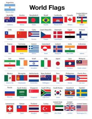 Flags of the World Bingo ESL ELL Newcomer Game | Made By Teachers