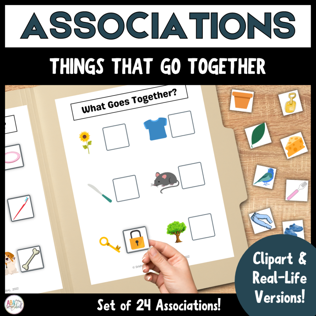 Associations File Folder Activities | Clipart & Real-Life Versions ...