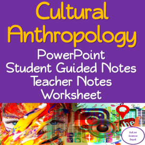 Cultural Anthropology PowerPoint & Worksheet | Made By Teachers