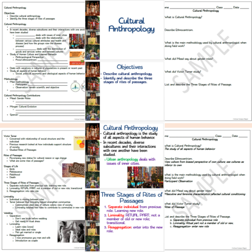 Cultural Anthropology PowerPoint & Worksheet | Made By Teachers