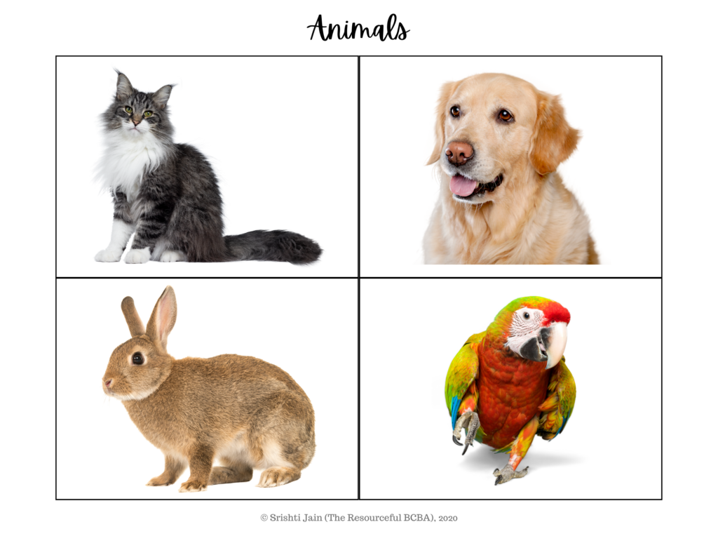 Tact And Listener Responding Flashcards And Editable Data Sheets Made By Teachers