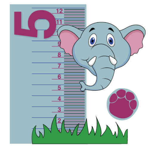 Classroom Height Charts Animals | Made By Teachers