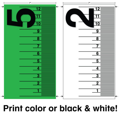 Classroom Height Charts Rulers | Made By Teachers