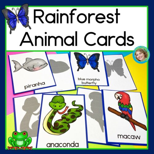 Rainforest Animals | Cards for Read the Room Matching Games and More ...