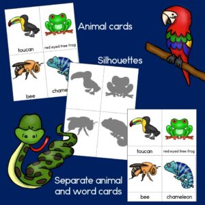 Rainforest Animals | Cards for Read the Room Matching Games and More ...