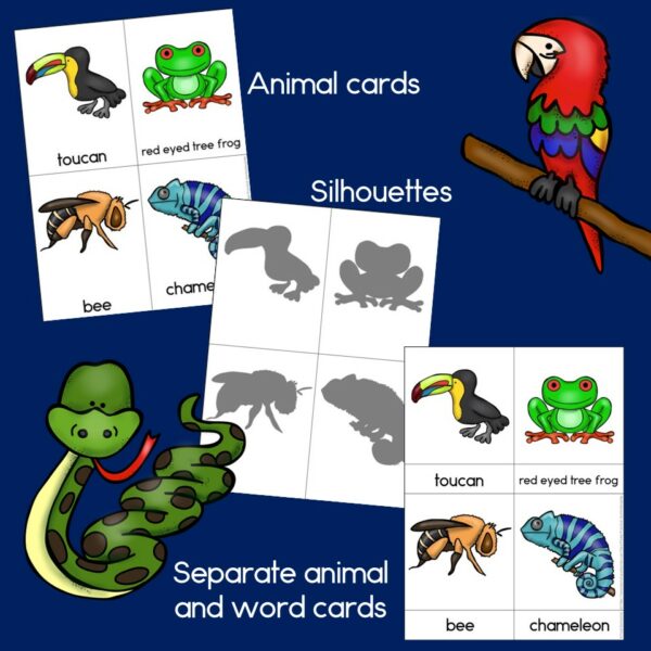 Rainforest Animals | Cards for Read the Room Matching Games and More ...