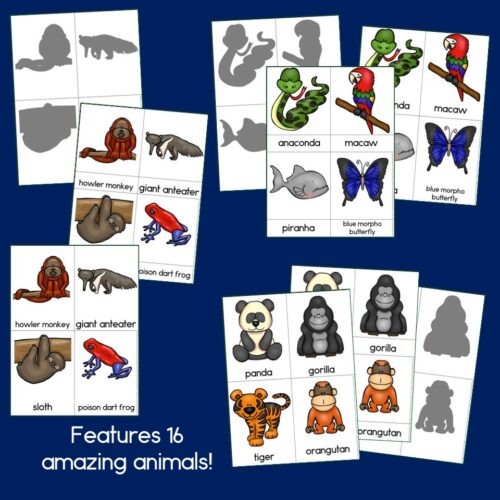 Rainforest Animals | Cards for Read the Room Matching Games and More ...
