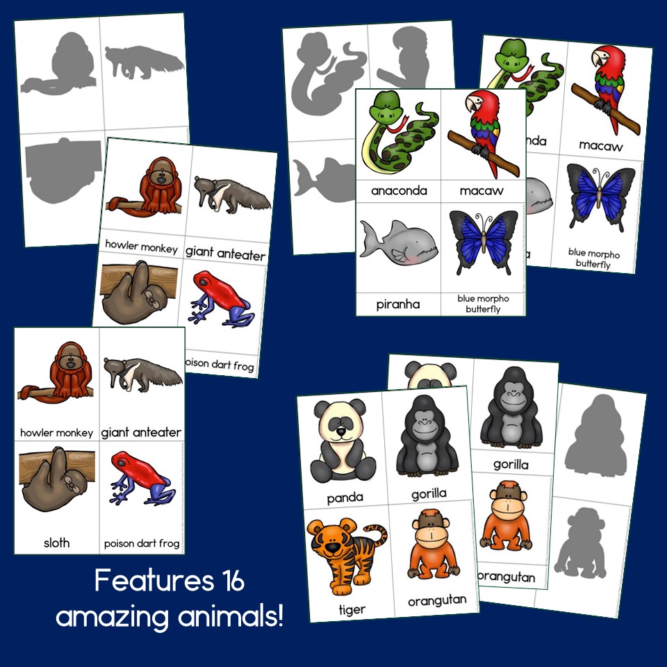 Rainforest Animals | Cards for Read the Room Matching Games and More ...