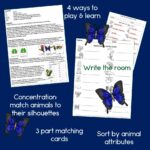 Rainforest Animals | Cards for Read the Room Matching Games and More ...