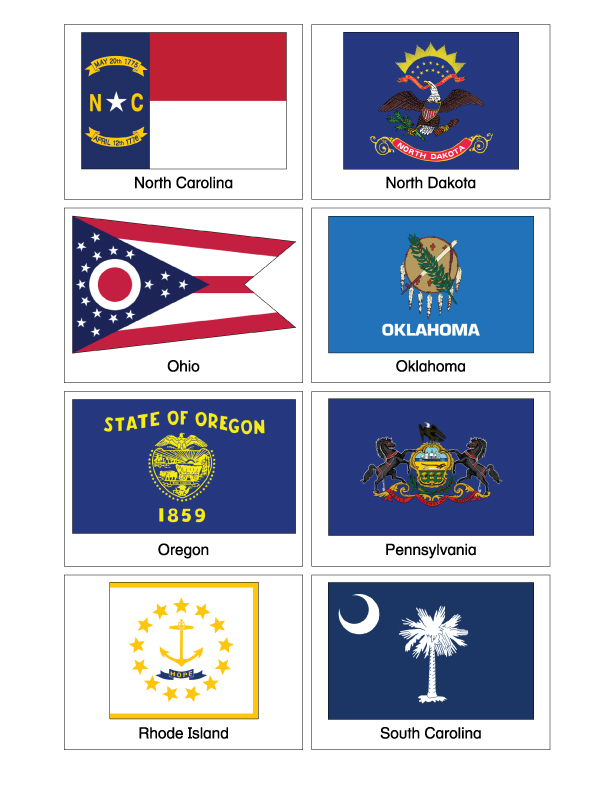 USA State Flag Flash Cards ESL ELL Newcomer | Made By Teachers