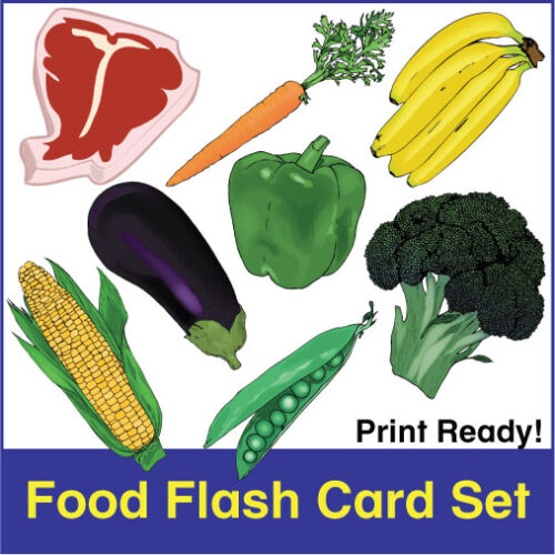 Food and Drink Flash Cards ESL ELL Newcomer | Made By Teachers