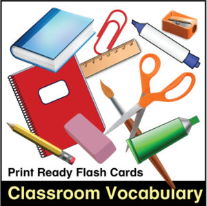 Classroom Vocabulary Flash Cards | ESL ELL Newcomer | Made By Teachers