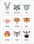 Animal Flash Card Set ESL ELL Newcomer | Made By Teachers