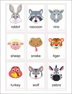 Animal Flash Card Set ESL ELL Newcomer | Made By Teachers