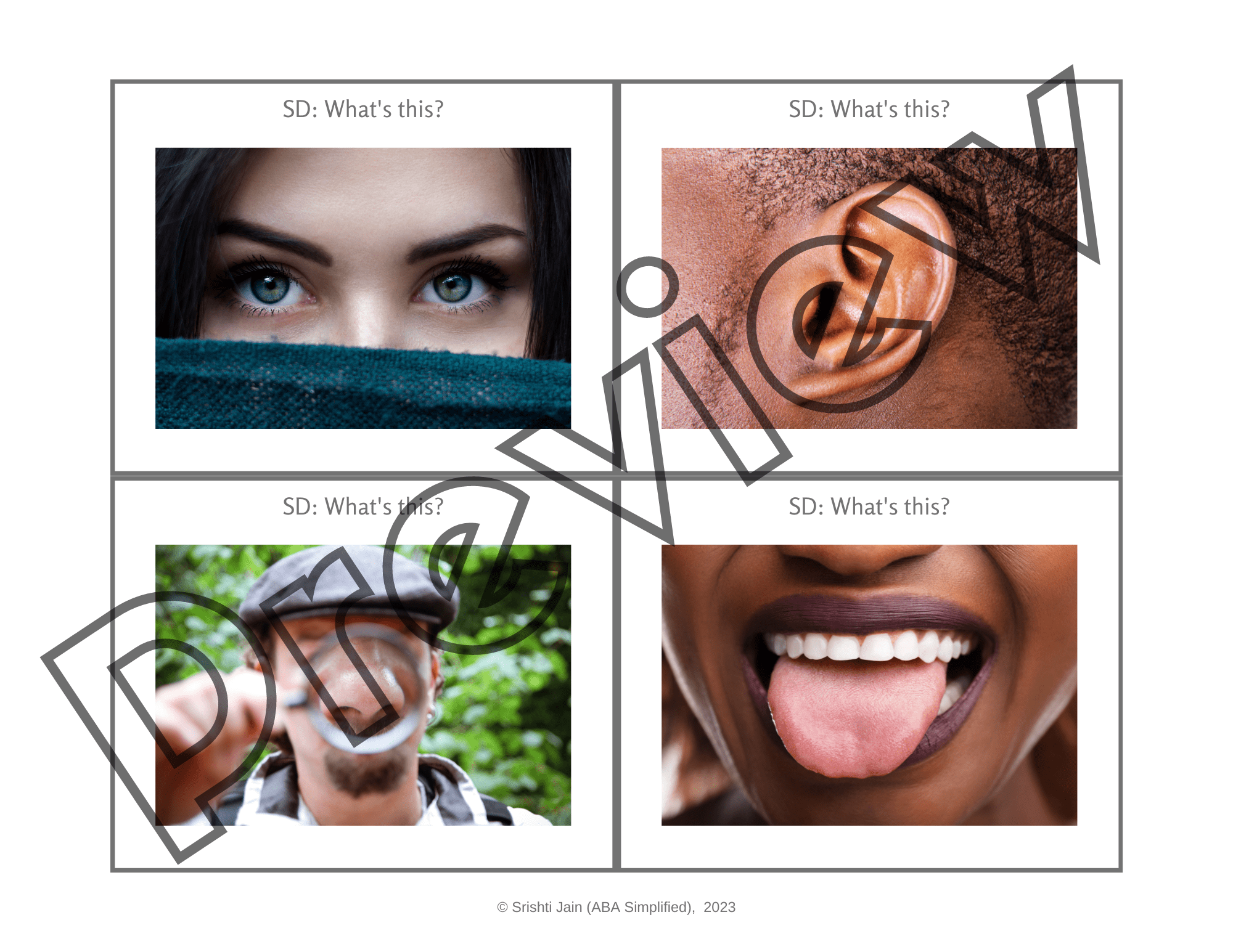 VB-MAPP Aligned Task Cards | Tact Level 1 | Made By Teachers