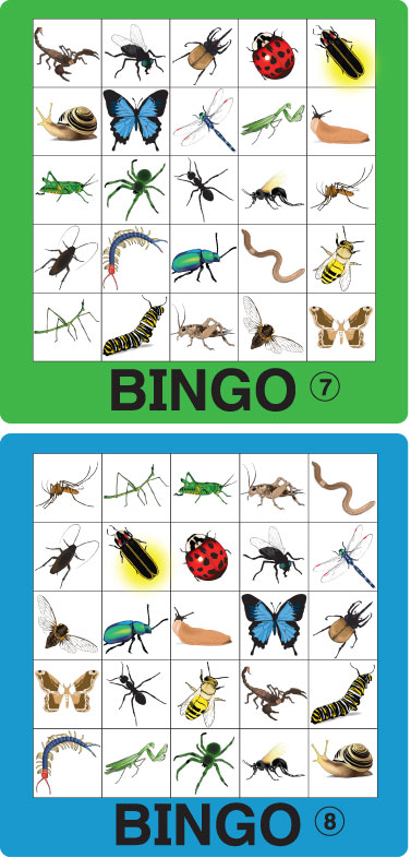 Insect Bingo ESL ELL Newcomer Game | Made By Teachers