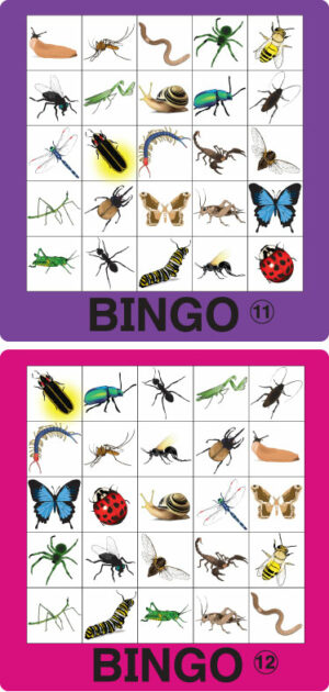 Insect Bingo ESL ELL Newcomer Game | Made By Teachers