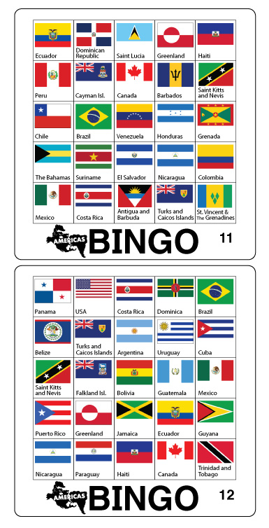 Flags of the World Bingo Americas ESL ELL Newcomer Game | Made By Teachers