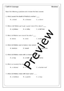 Armstrong Sperry "Call It Courage" worksheets | Made By Teachers