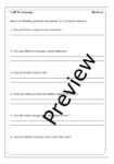 Armstrong Sperry "Call It Courage" worksheets | Made By Teachers