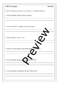 Armstrong Sperry "Call It Courage" worksheets | Made By Teachers