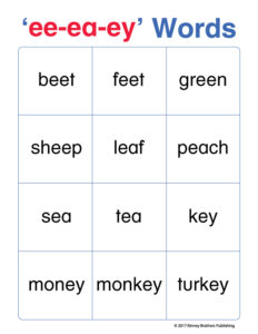 Silent e Word Charts Interactive Notebooks ESL ELL Newcomer | Made By ...