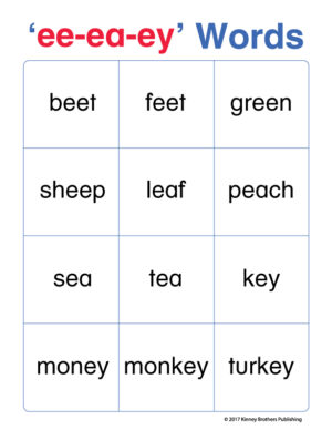 Silent e Word Charts Interactive Notebooks ESL ELL Newcomer | Made By ...