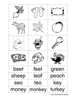 Silent e Word Charts Interactive Notebooks ESL ELL Newcomer | Made By ...