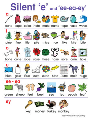 Silent e Word Charts Interactive Notebooks ESL ELL Newcomer | Made By ...