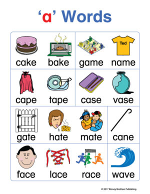Silent e Word Charts 2 Interactive Notebooks ESL ELL Newcomer - Made By ...