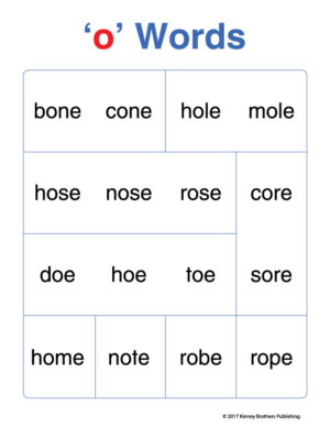 Silent e Word Charts 2 Interactive Notebooks ESL ELL Newcomer | Made By ...