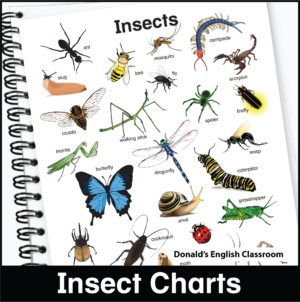 Insect Charts Interactive Notebooks ESL ELL Newcomer | Made By Teachers