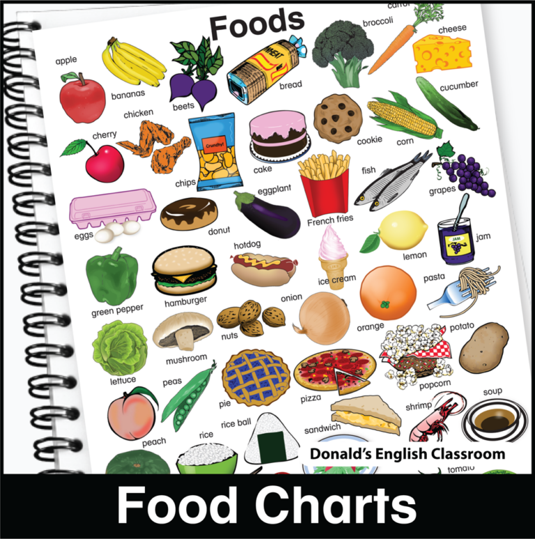 Food Charts Interactive Notebooks ESL ELL Newcomer | Made By Teachers