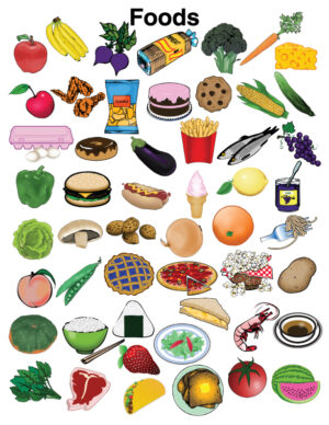 Food Charts Interactive Notebooks ESL ELL Newcomer | Made By Teachers