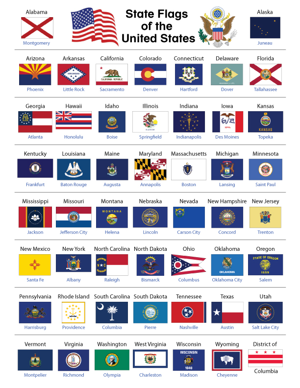 USA State Flag Chart Interactive Notebooks ESL ELL Newcomer | Made By ...