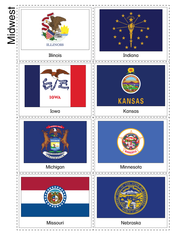 USA State Flag Chart Interactive Notebooks ESL ELL Newcomer | Made By ...