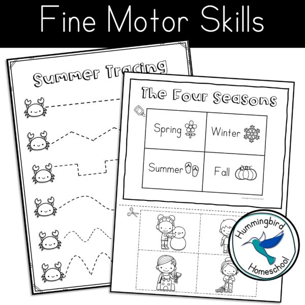 Four Seasons | Preschool Science Learning Spring Summer Fall Winter ...