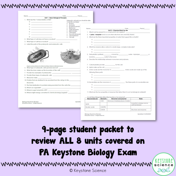 Biology Keystone Exam Content Review Packet with Answer Key | Made By ...