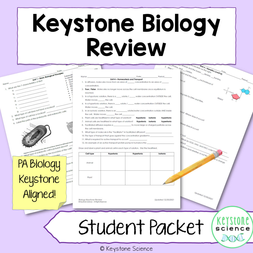 Biology Keystone Exam Content Review Packet with Answer Key | Made By ...