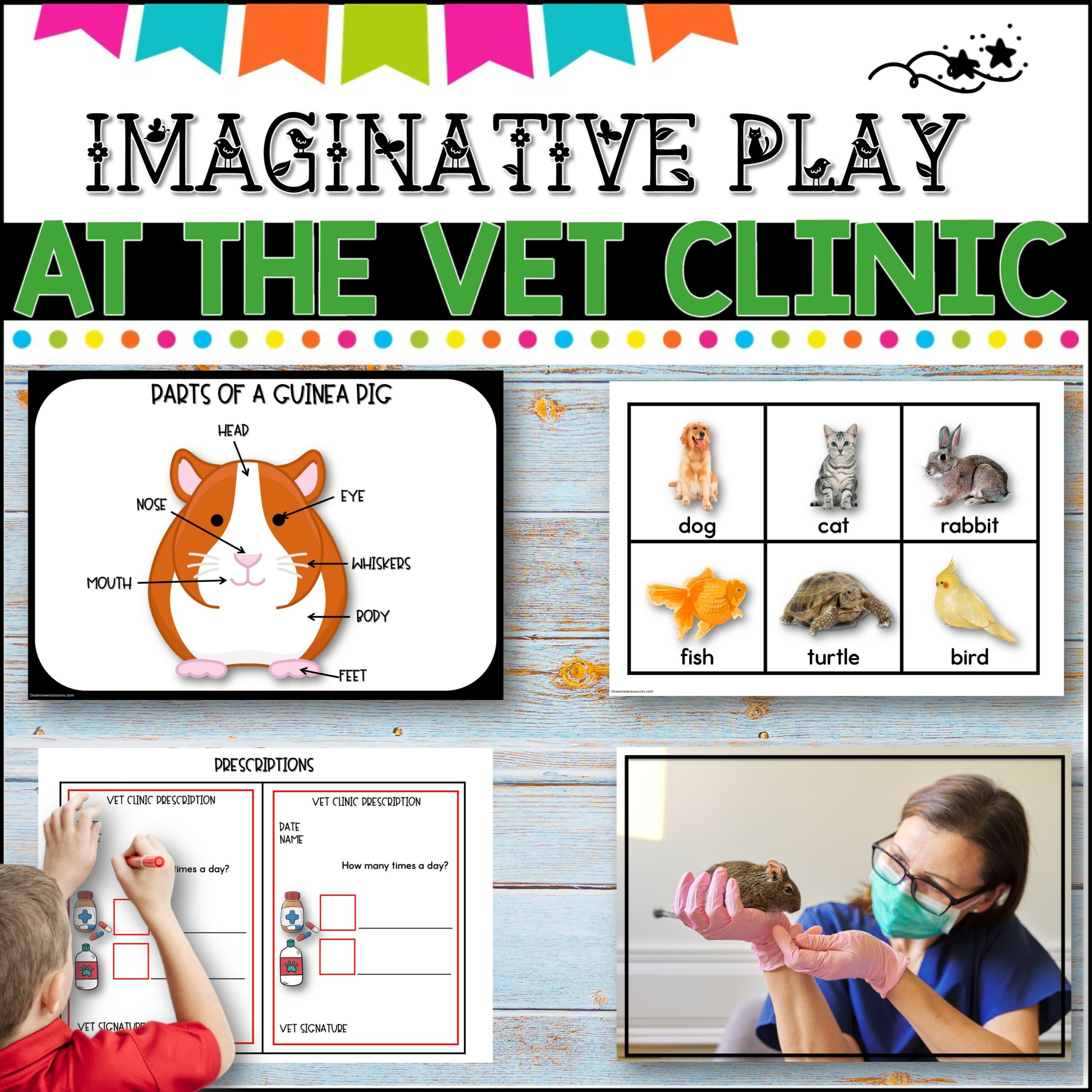 Vet Clinic- Dramatic Play | Made By Teachers