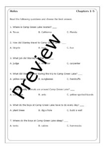 Louis Sachar "Holes" worksheets | Made By Teachers